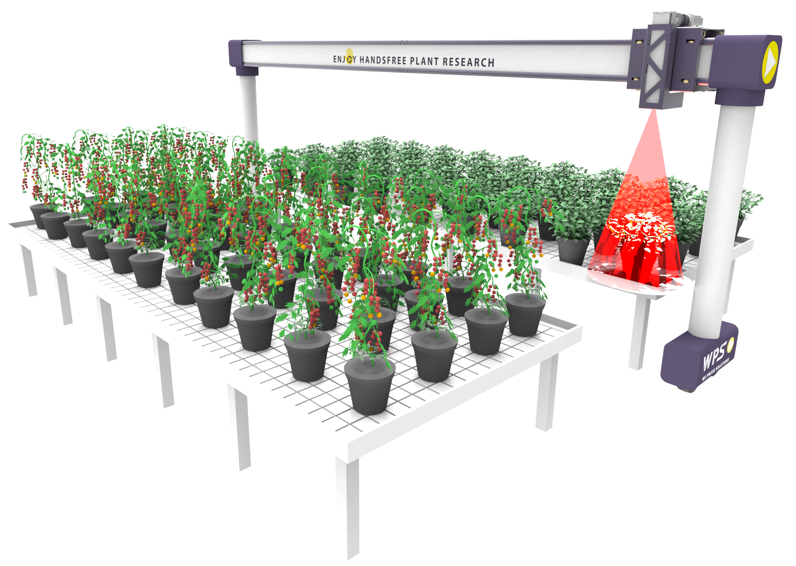 WPS unveils Phenotyping Gantry